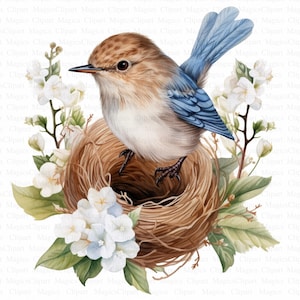 Wren Clipart | 5 High Quality Jpgs | Digital Download | Card Making ...