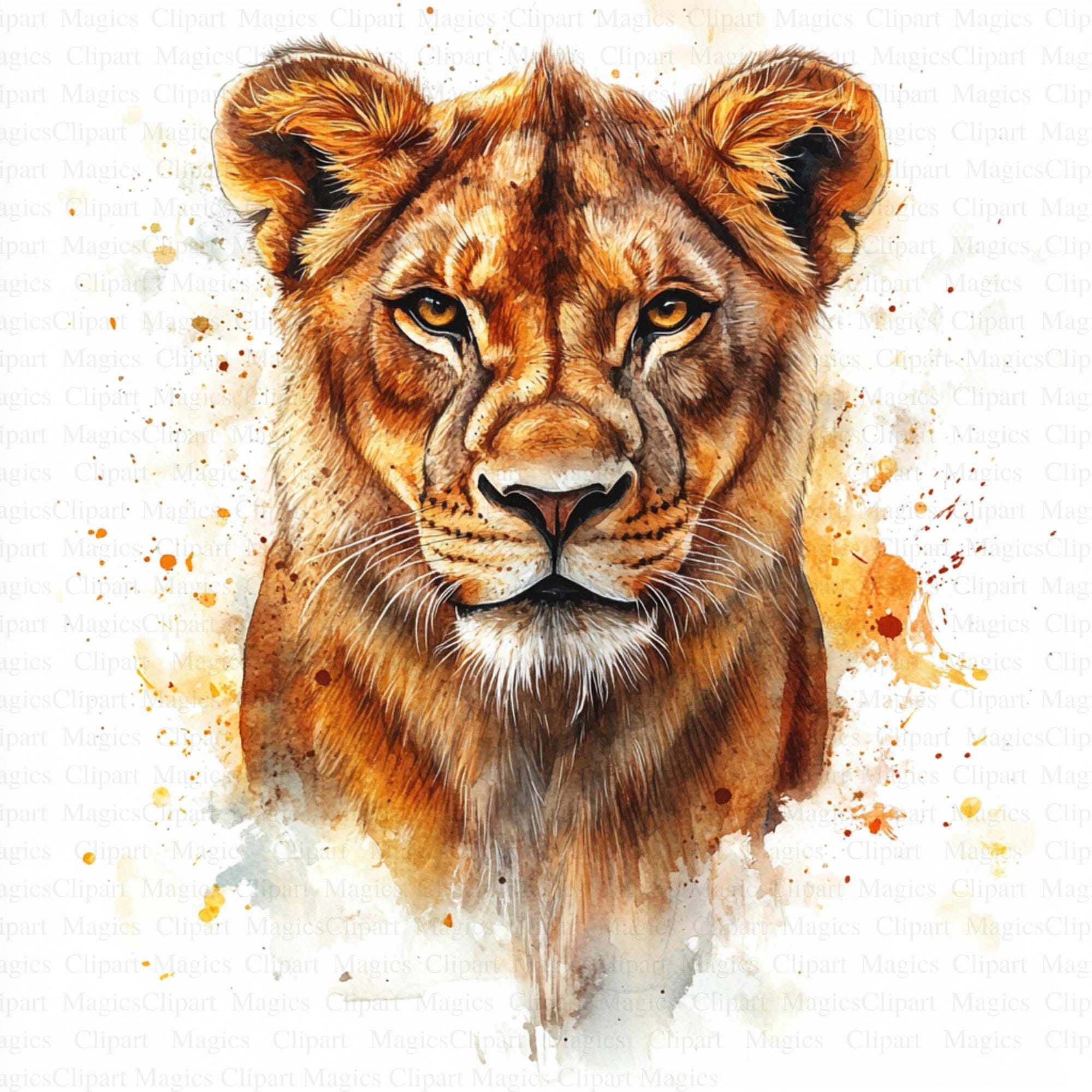 Lioness Clipart | 5 High Quality Jpgs | Digital Download | Watercolor ...