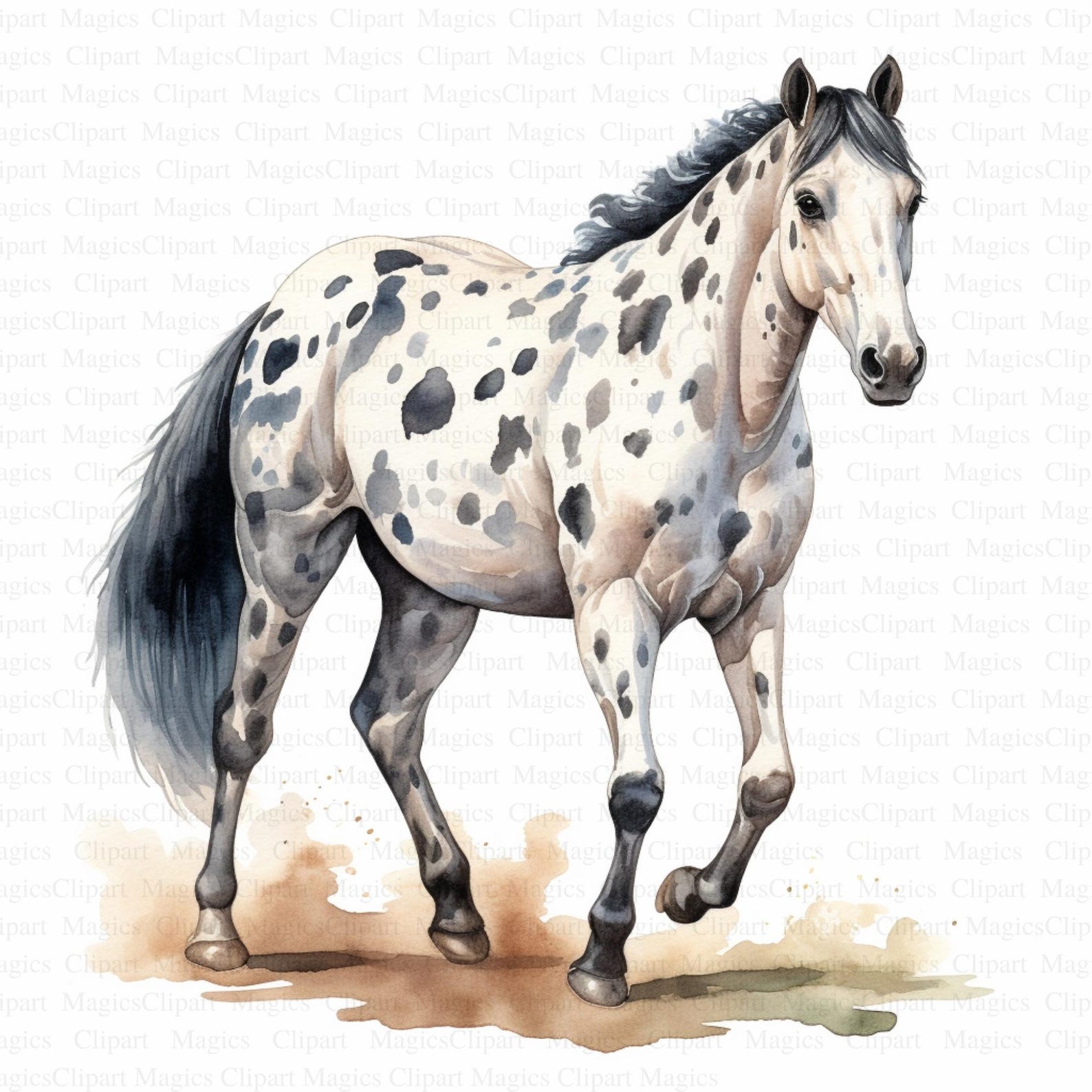 Appaloosa Horse Clipart 5 High Quality Jpgs Digital Download Card ...