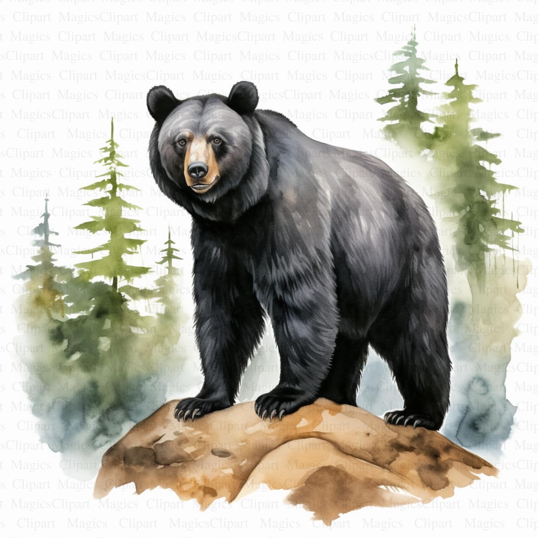 Watercolor Black Bear Clipart 5 High Quality Jpgs Instant Digital ...