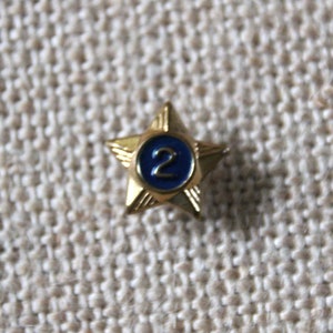 Boy Scouts 2 Year Service Star Pin - Uniform Pin - Collectible - Boy ...