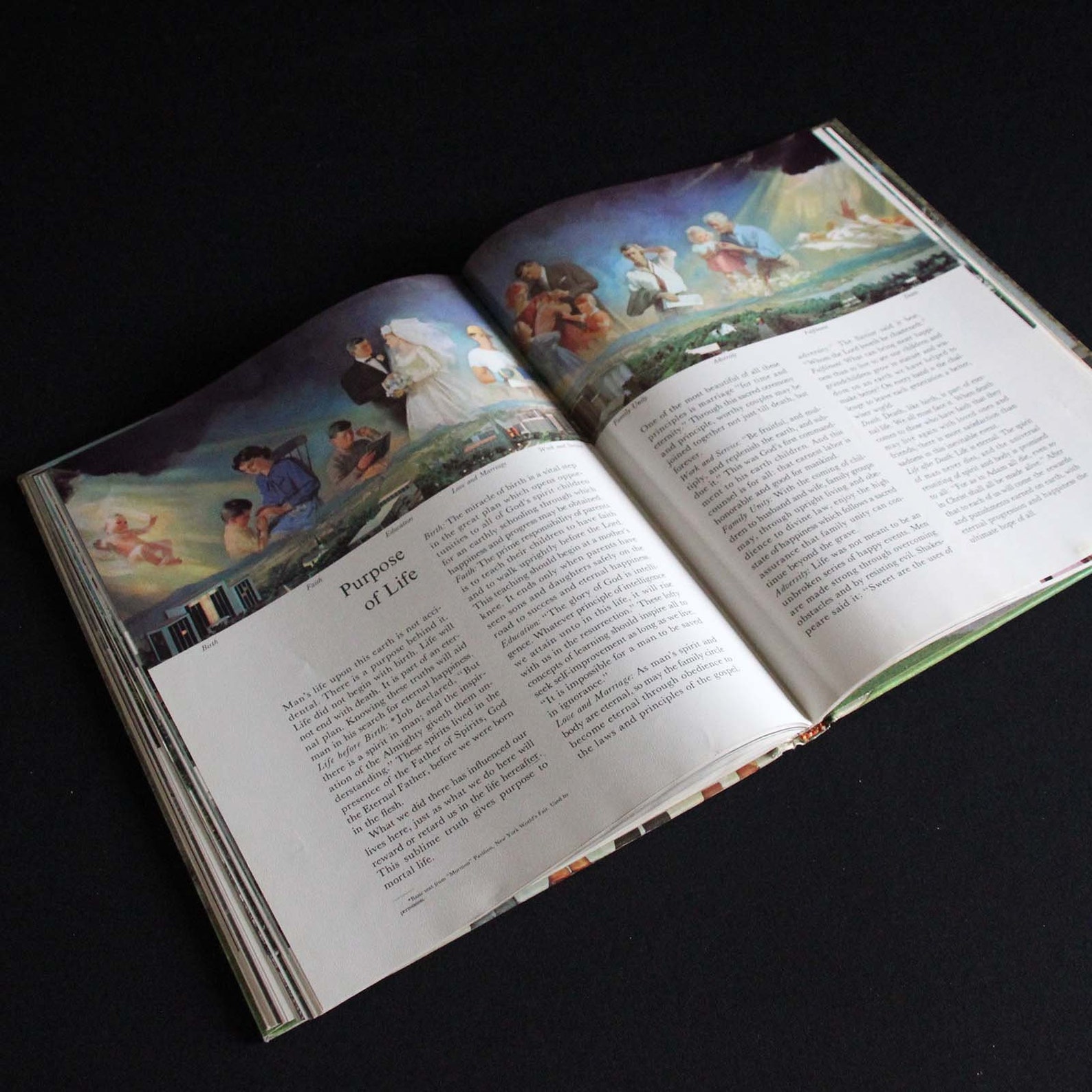 Meet the Mormons by Doyle L & Randall L Green Vintage Book - Etsy