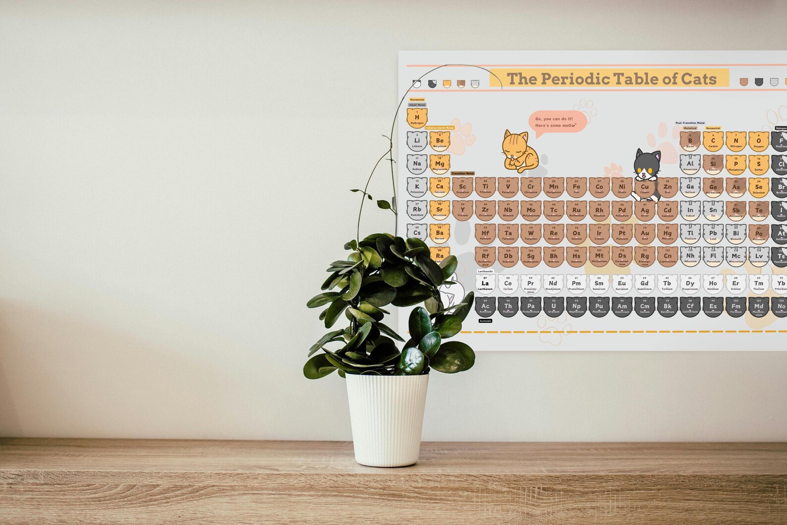 Cat Periodic Table Painted - Etsy