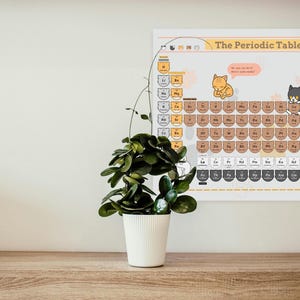 Cat Periodic Table Painted - Etsy
