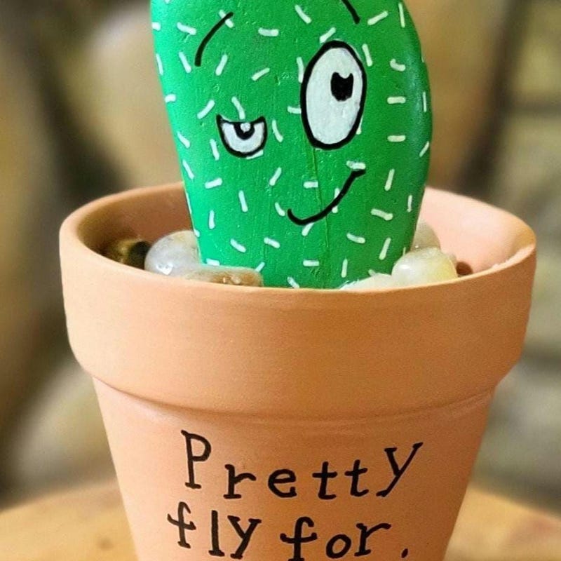 Funny Painted Rocks - Etsy
