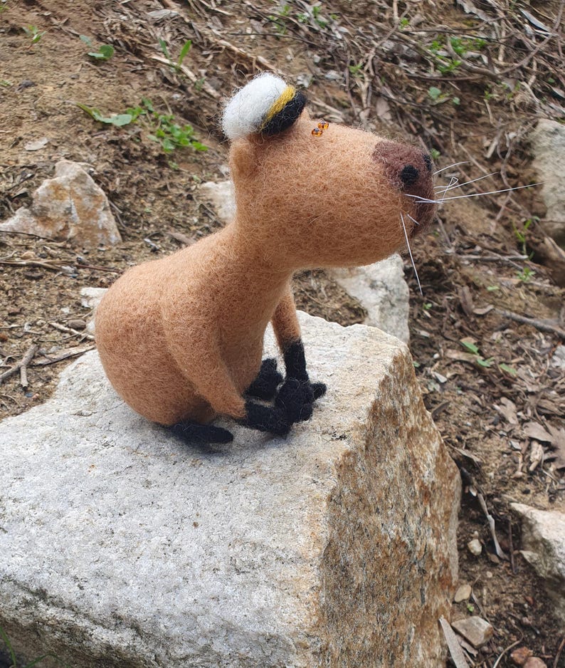 Captain Capybara Needle Felted Home Decoration - Handmade Felt Capybara ...