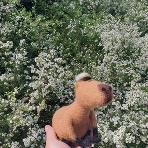 Captain Capybara Needle Felted Home Decoration Habdmade Felt Capybara ...