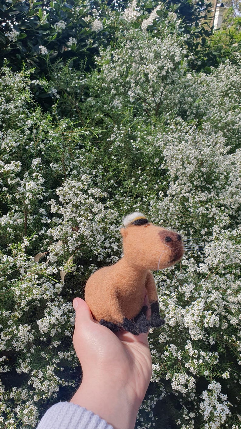 Captain Capybara Needle Felted Home Decoration Habdmade Felt Capybara ...