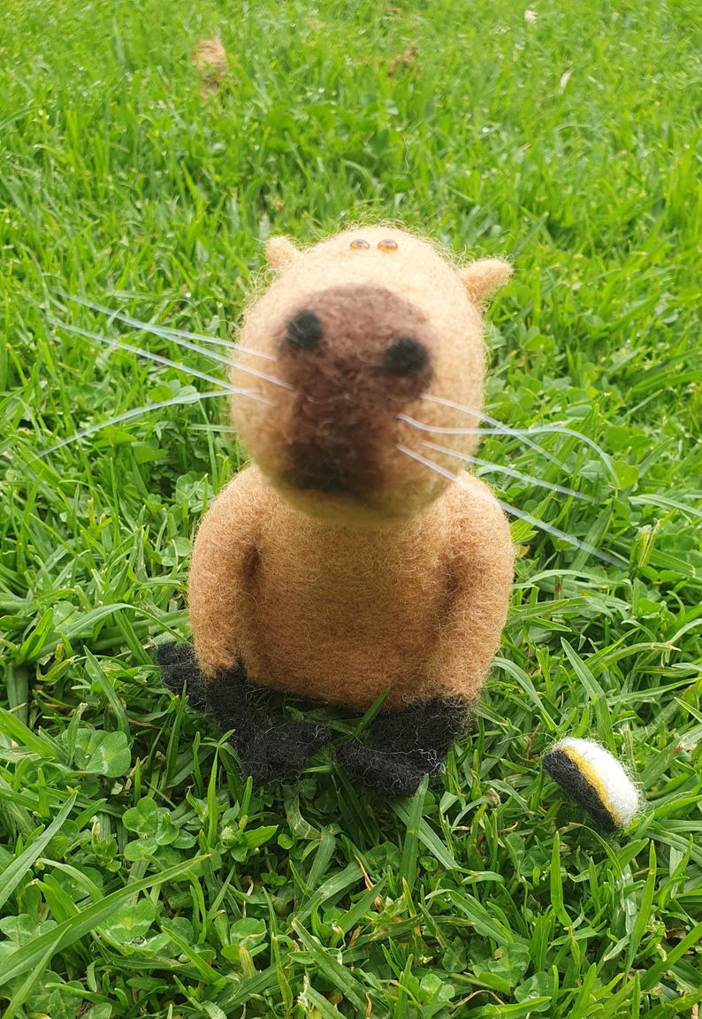 Captain Capybara Needle Felted Home Decoration Habdmade Felt Capybara ...