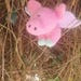 Flying Pig Needle Felted Toy - When Pigs Fly Wool Sculpture - Etsy