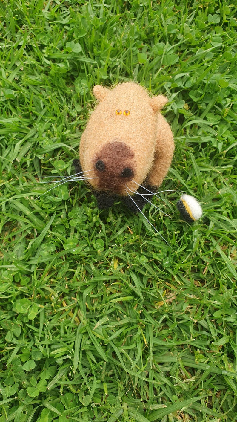 Captain Capybara Needle Felted Home Decoration Habdmade Felt Capybara ...