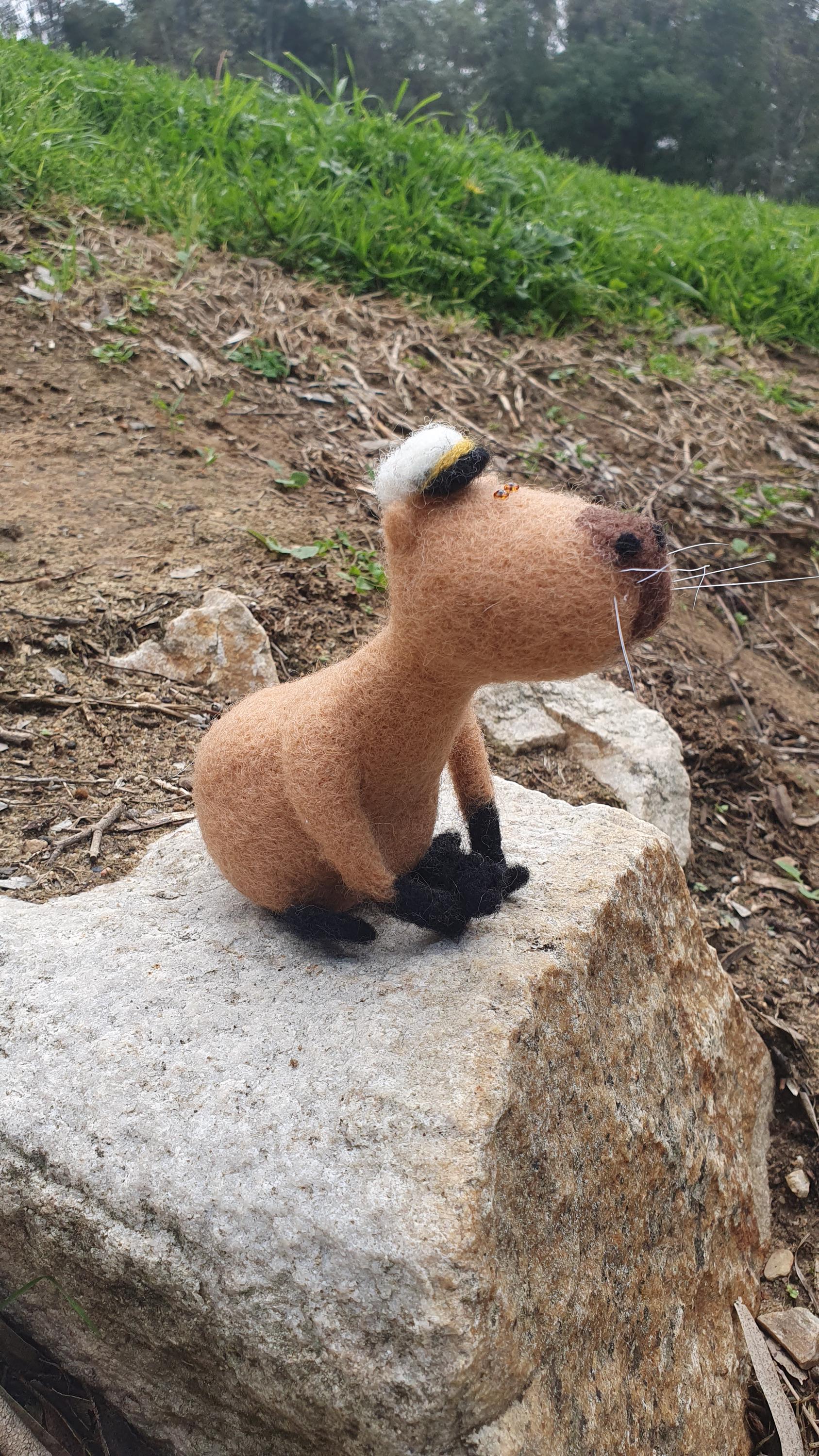 Captain Capybara Needle Felted Home Decoration - Handmade Felt Capybara ...