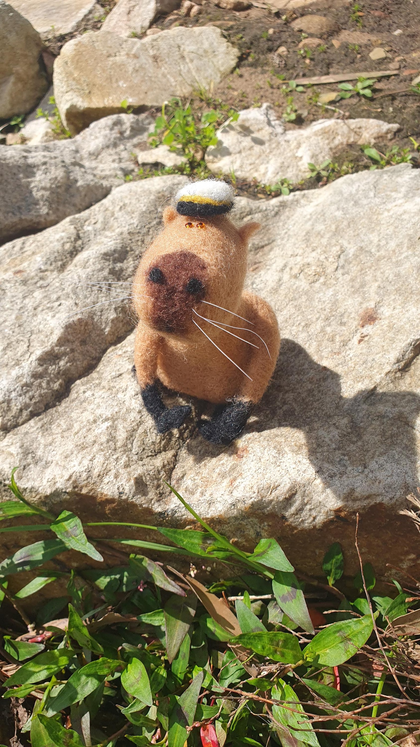 Captain Capybara Needle Felted Home Decoration Habdmade Felt Capybara ...