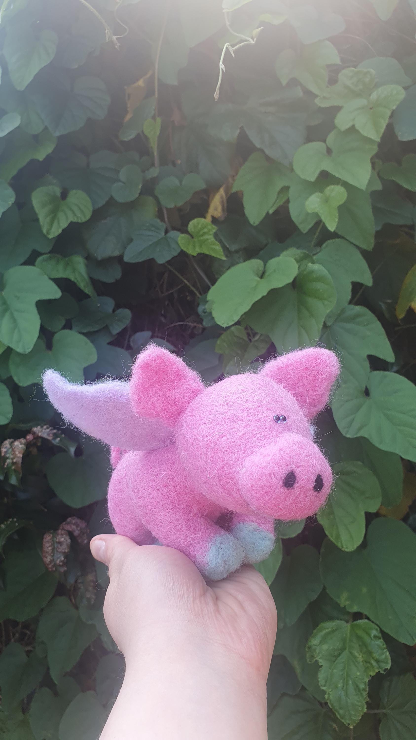 Flying Pig Needle Felted Toy - When Pigs Fly Wool Sculpture - Etsy