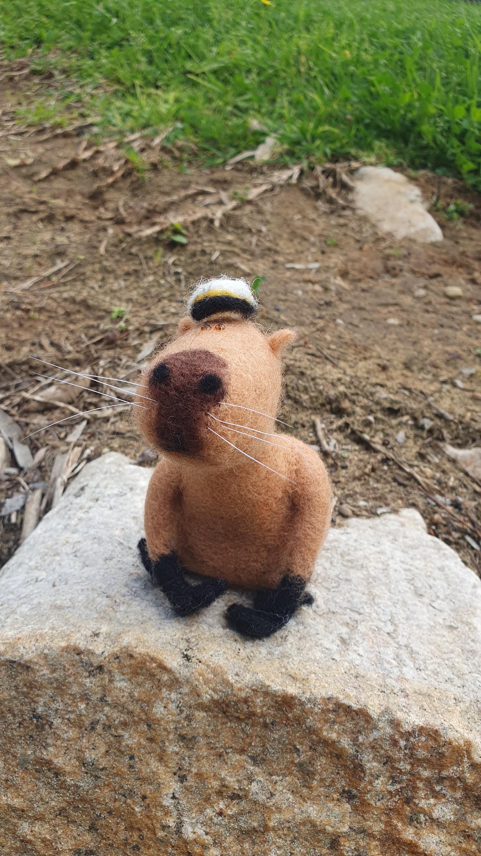 Captain Capybara Needle Felted Home Decoration - Handmade Felt Capybara ...