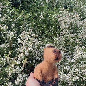 Captain Capybara Needle Felted Home Decoration - Handmade Felt Capybara ...