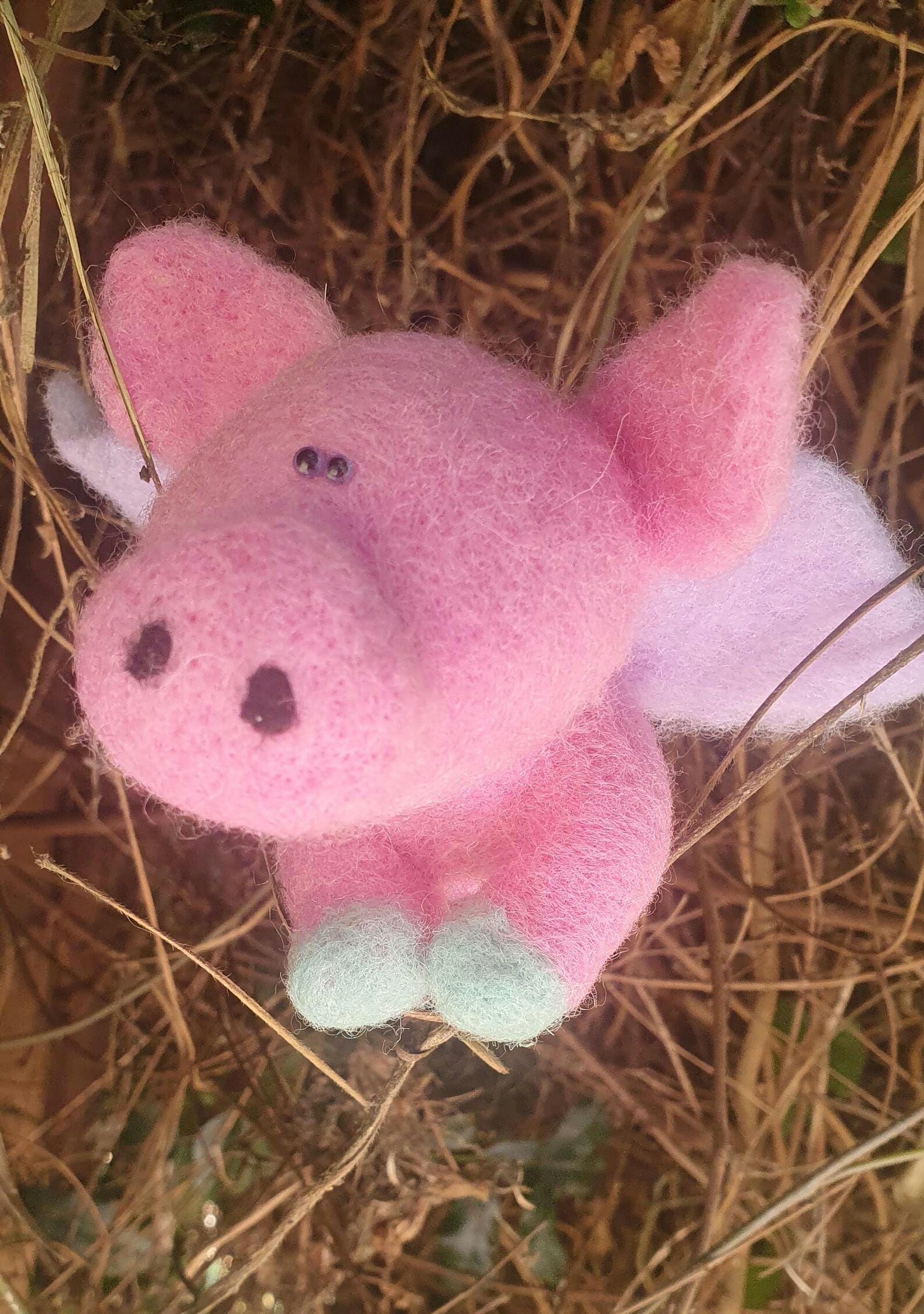 Flying Pig Needle Felted Toy - When Pigs Fly Wool Sculpture - Etsy