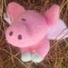 Flying Pig Needle Felted Toy - When Pigs Fly Wool Sculpture - Etsy
