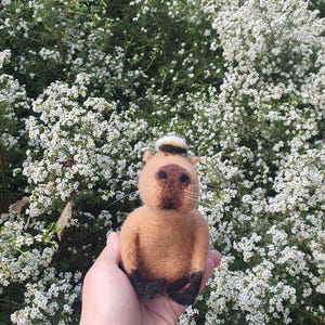 Captain Capybara Needle Felted Home Decoration - Handmade Felt Capybara ...