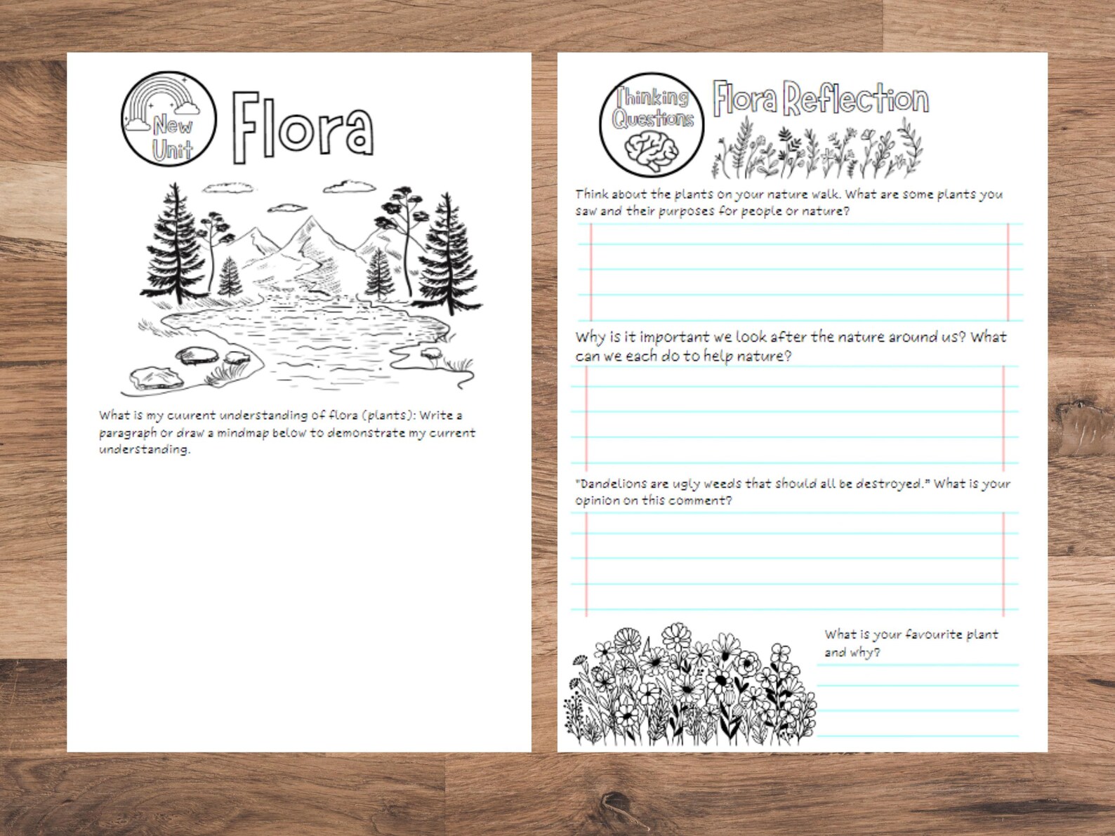 Nature Journal Printable | Homeschool | Charlotte Mason | Curriculum ...