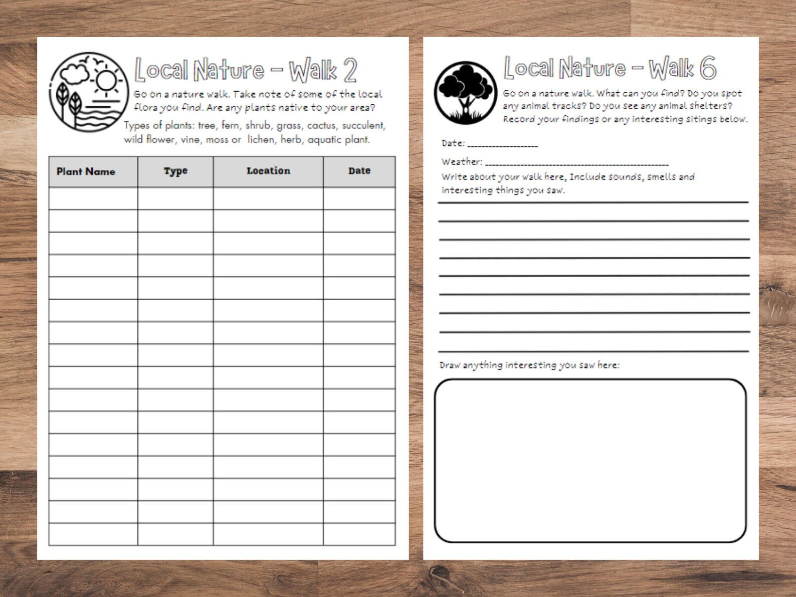 Nature Journal Printable | Homeschool | Charlotte Mason | Curriculum ...