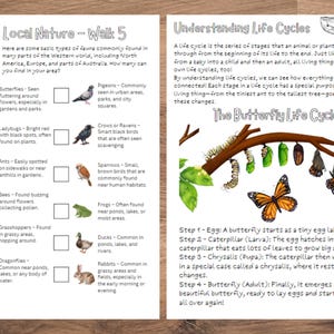 Nature Journal Printable | Homeschool | Charlotte Mason | Curriculum ...