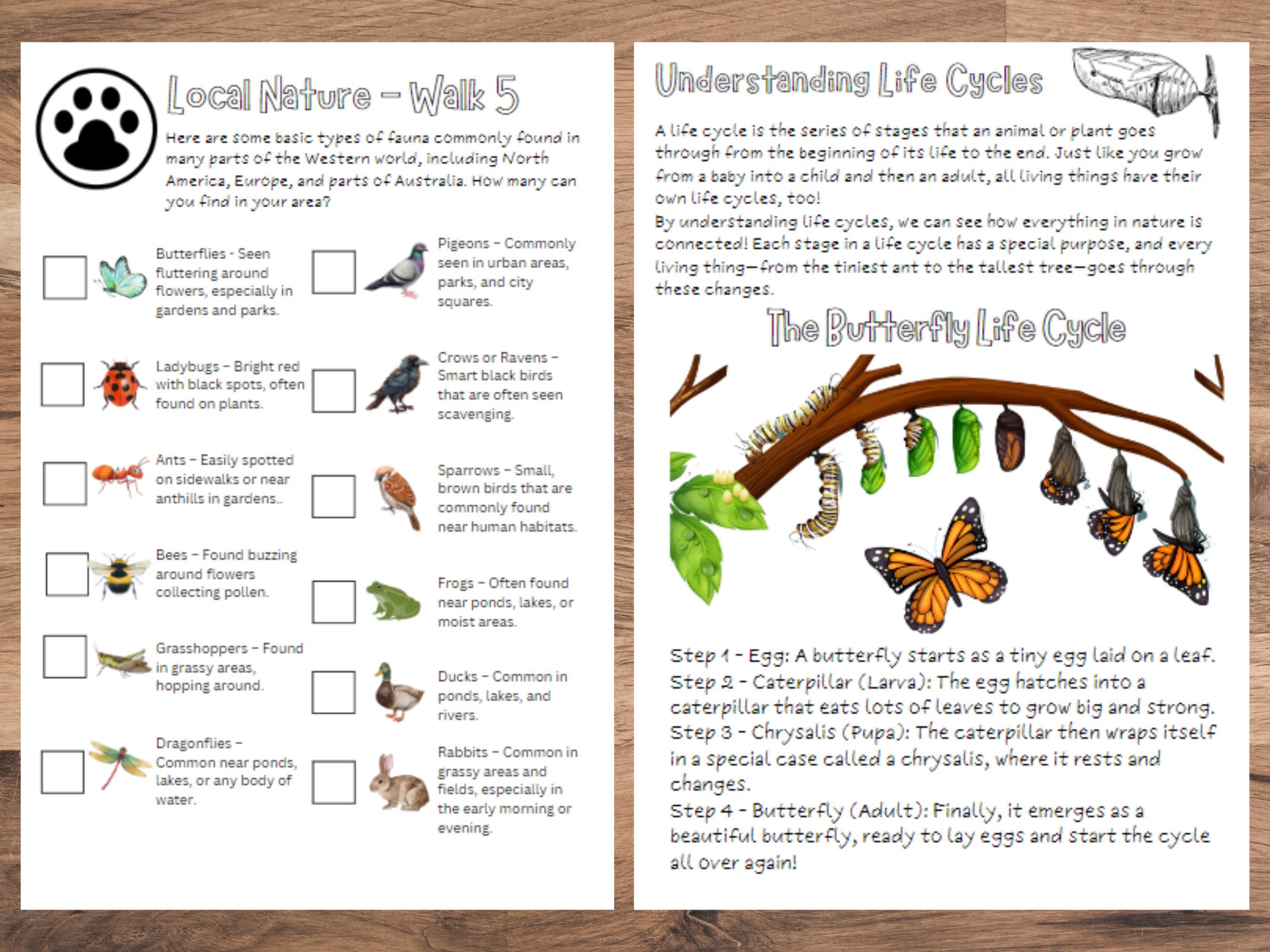 Nature Journal Printable | Homeschool | Charlotte Mason | Curriculum ...