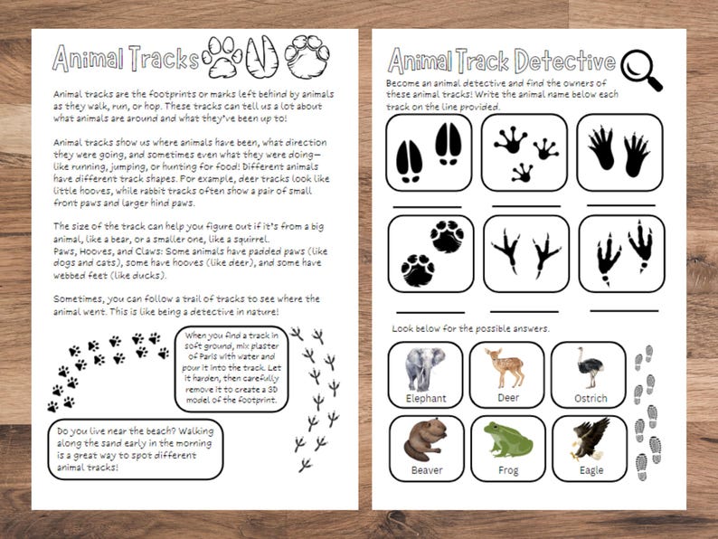 Nature Journal Printable | Homeschool | Charlotte Mason | Curriculum ...