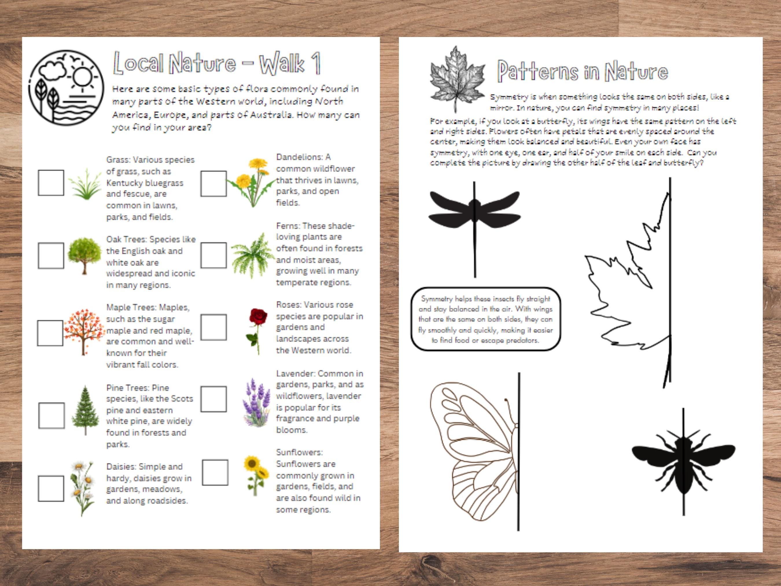 Nature Journal Printable | Homeschool | Charlotte Mason | Curriculum ...