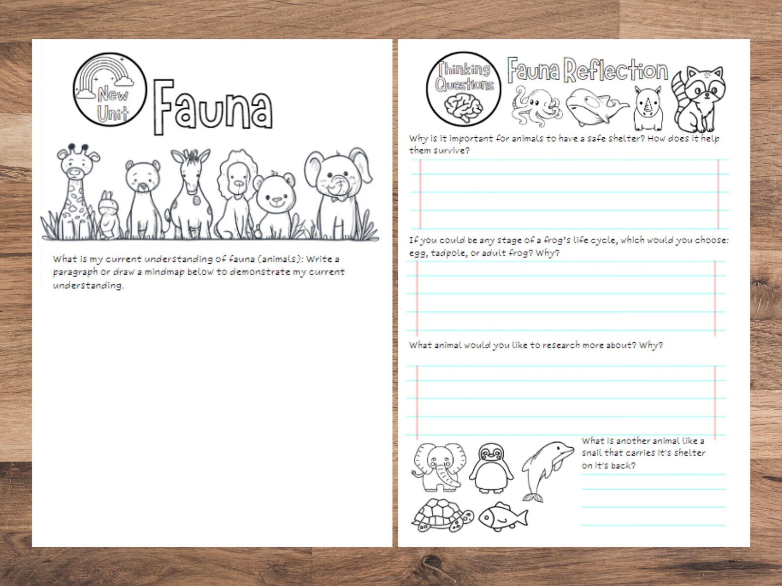 Nature Journal Printable | Homeschool | Charlotte Mason | Curriculum ...