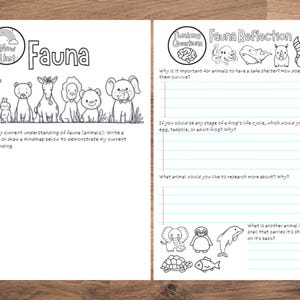 Nature Journal Printable | Homeschool | Charlotte Mason | Curriculum ...