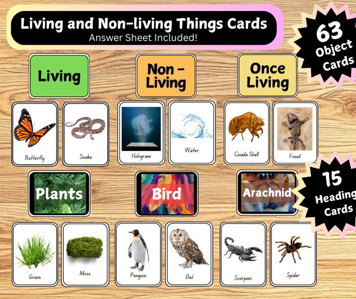 Living and Non-living, Animal Classification Science Activity Cards - Etsy