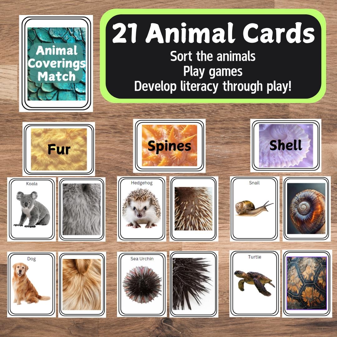 Animal Classifying Card Games and Activity | Learn Through Play ...