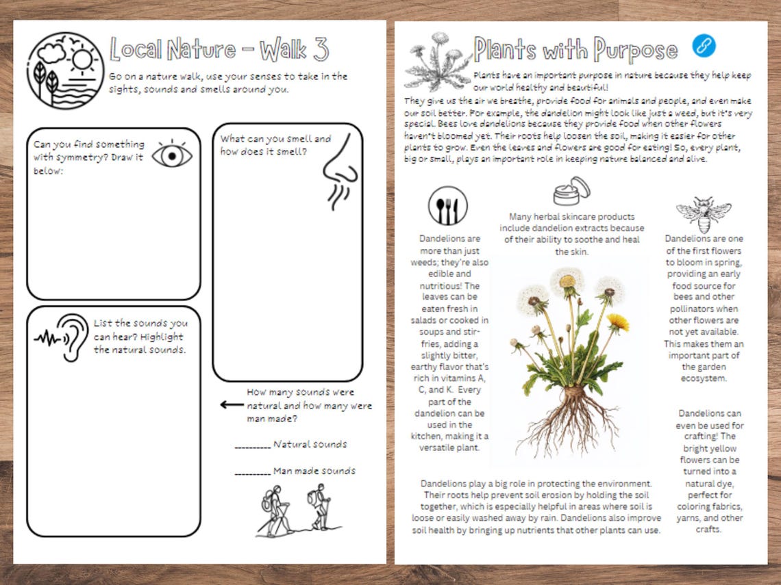 Nature Journal Printable | Homeschool | Charlotte Mason | Curriculum ...