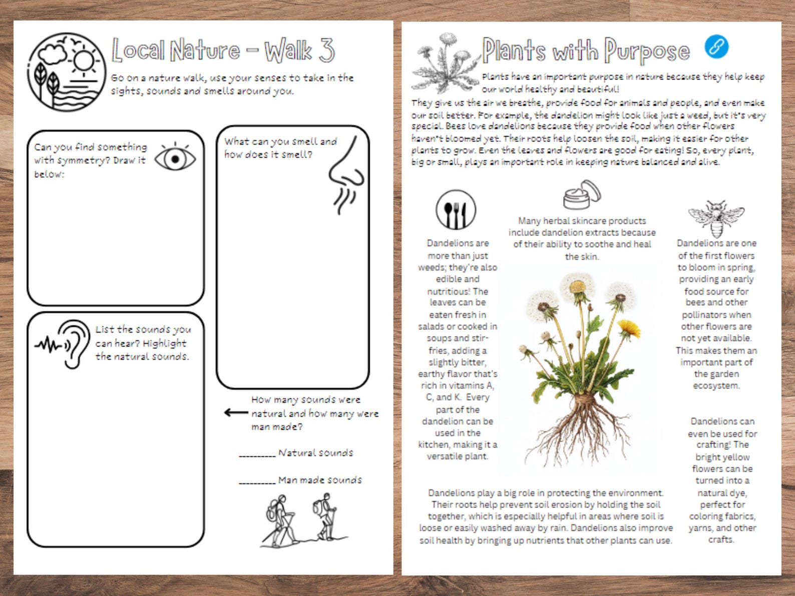Nature Journal Printable | Homeschool | Charlotte Mason | Curriculum ...