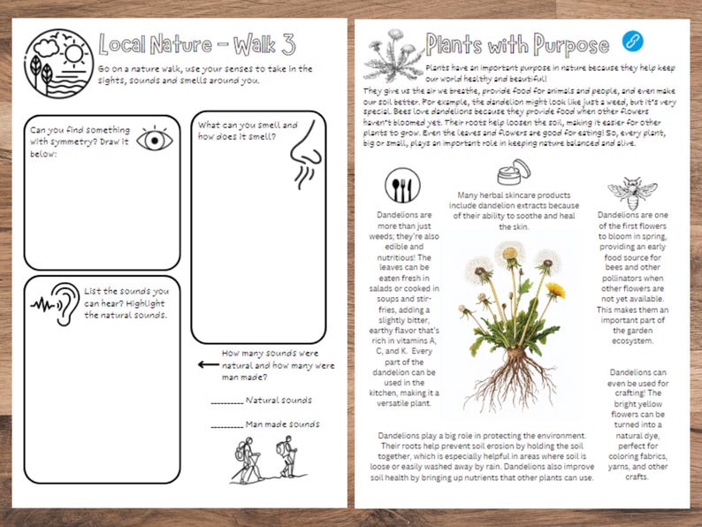 Nature Journal Printable | Homeschool | Charlotte Mason | Curriculum ...
