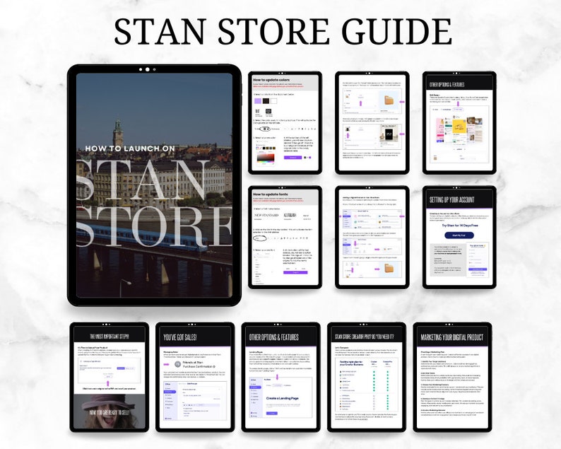 Stan Store Guide, PLR MRR Stan Store Set up Guide, Digital Guide Done ...