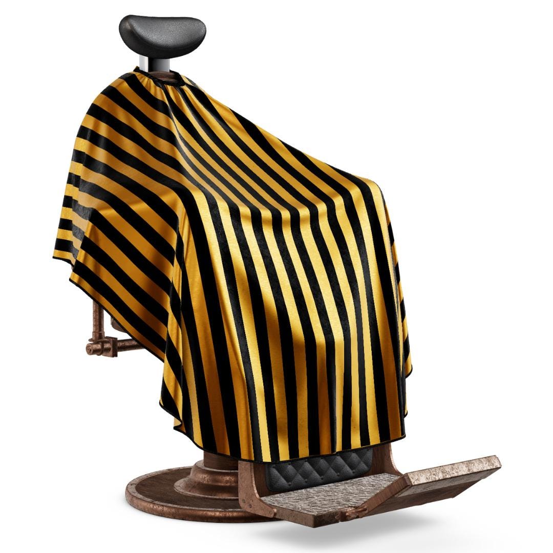 Professional Barber Cape - Hair Cutting Cape With Adjustable Neck ...