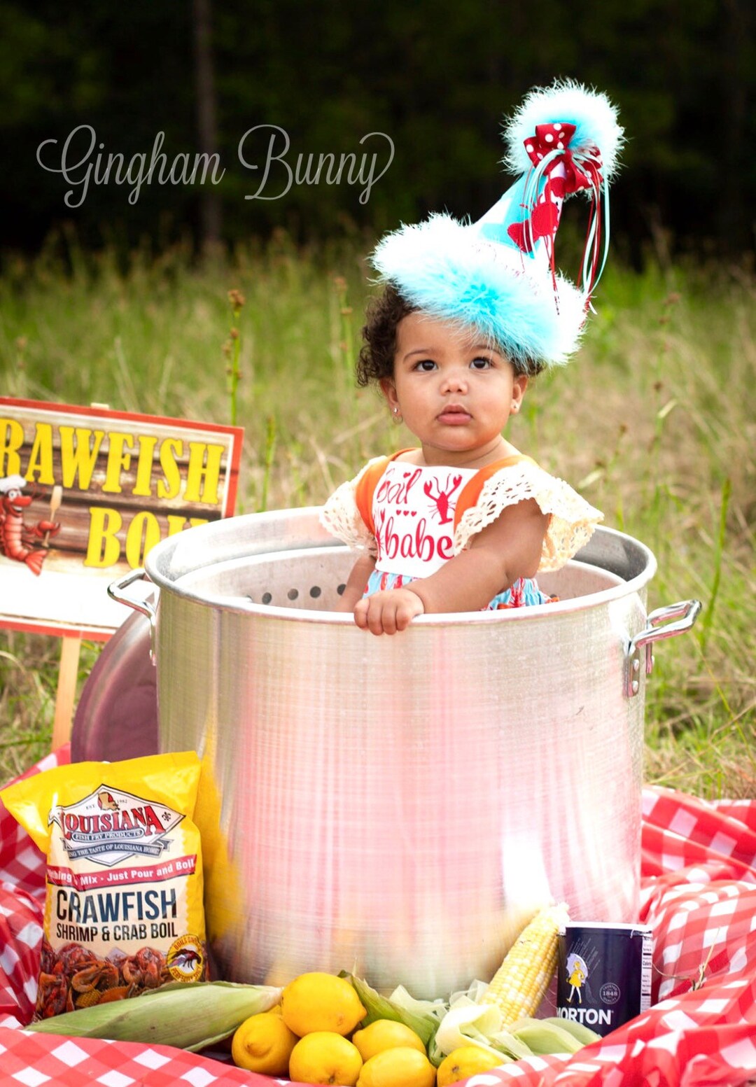 Crawfish 1st Birthday Hat, Mudbug Birthday, , Boil Babe Birthday ...