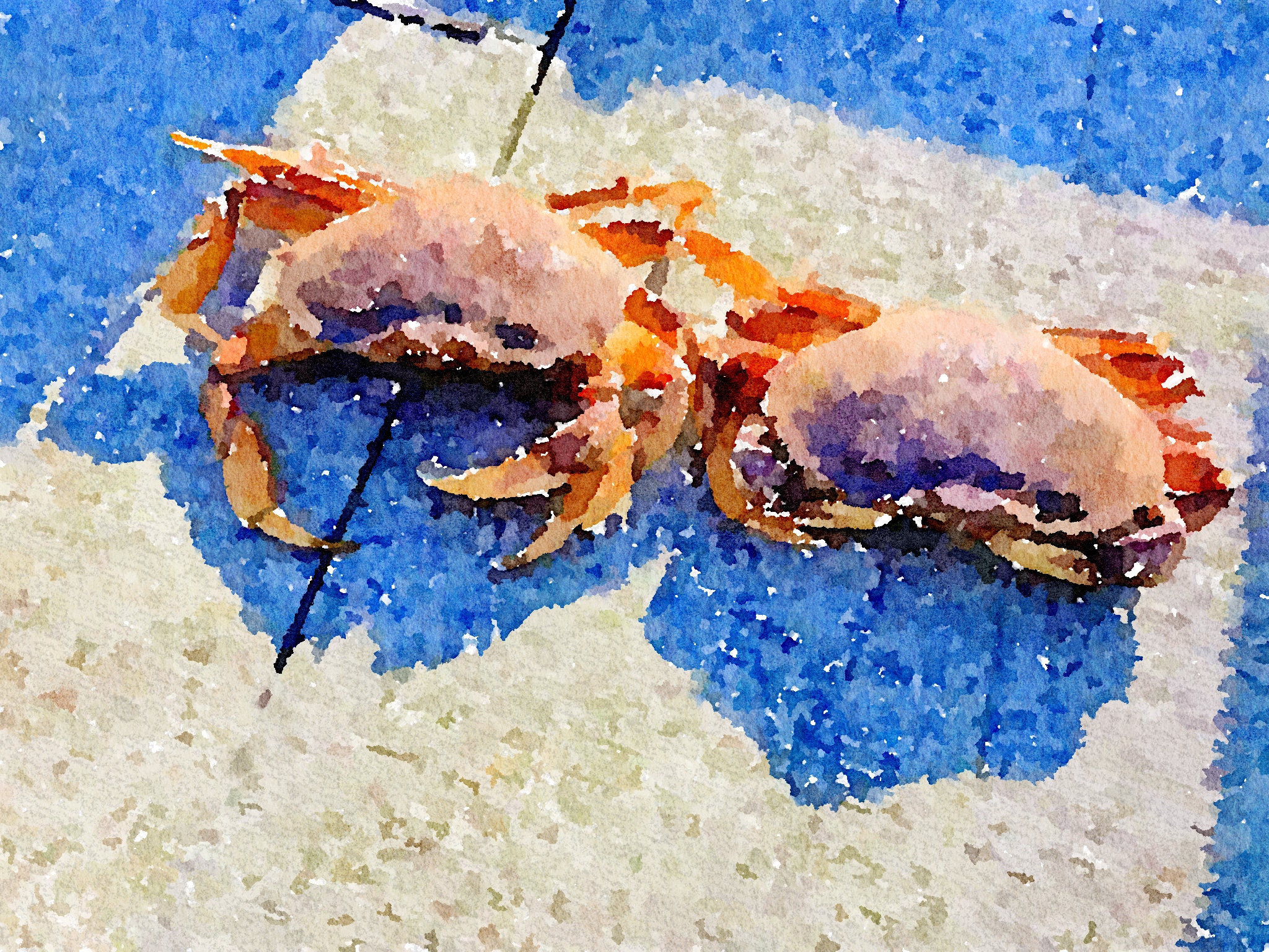 Dungeness Crab Pots - Etsy
