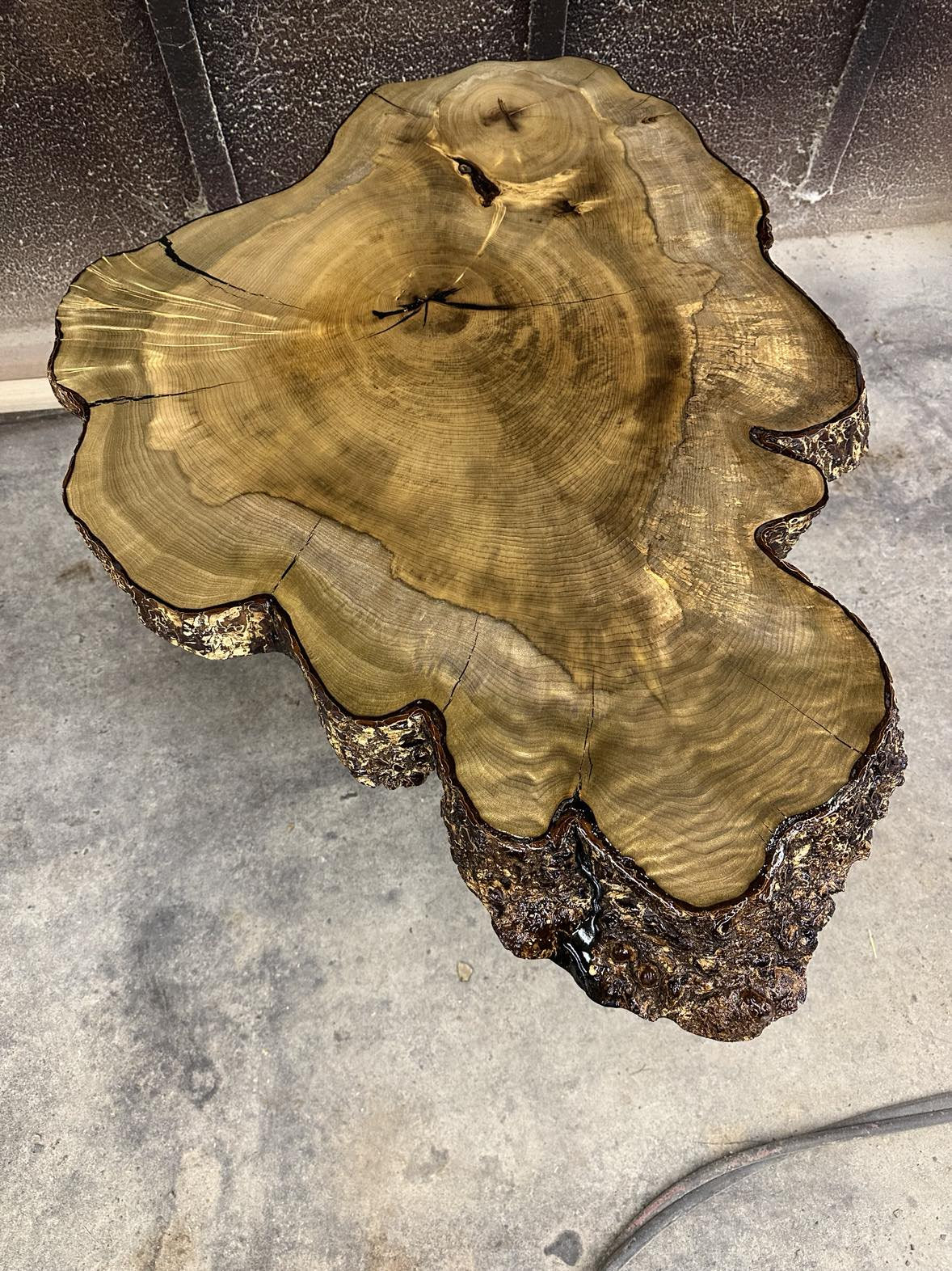 50”x 30” X 2” Myrtle Wood Burl Live Edge Coffee Table - Etsy