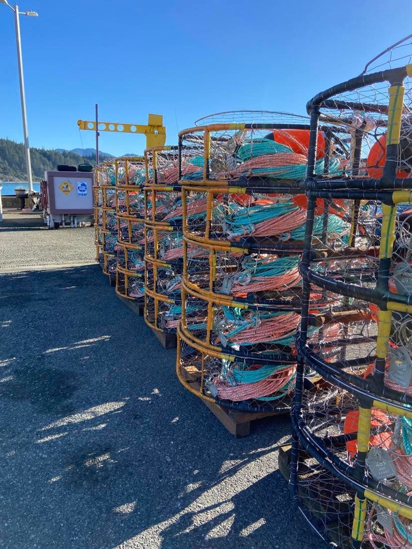 Dungeness Crab Pots - Etsy