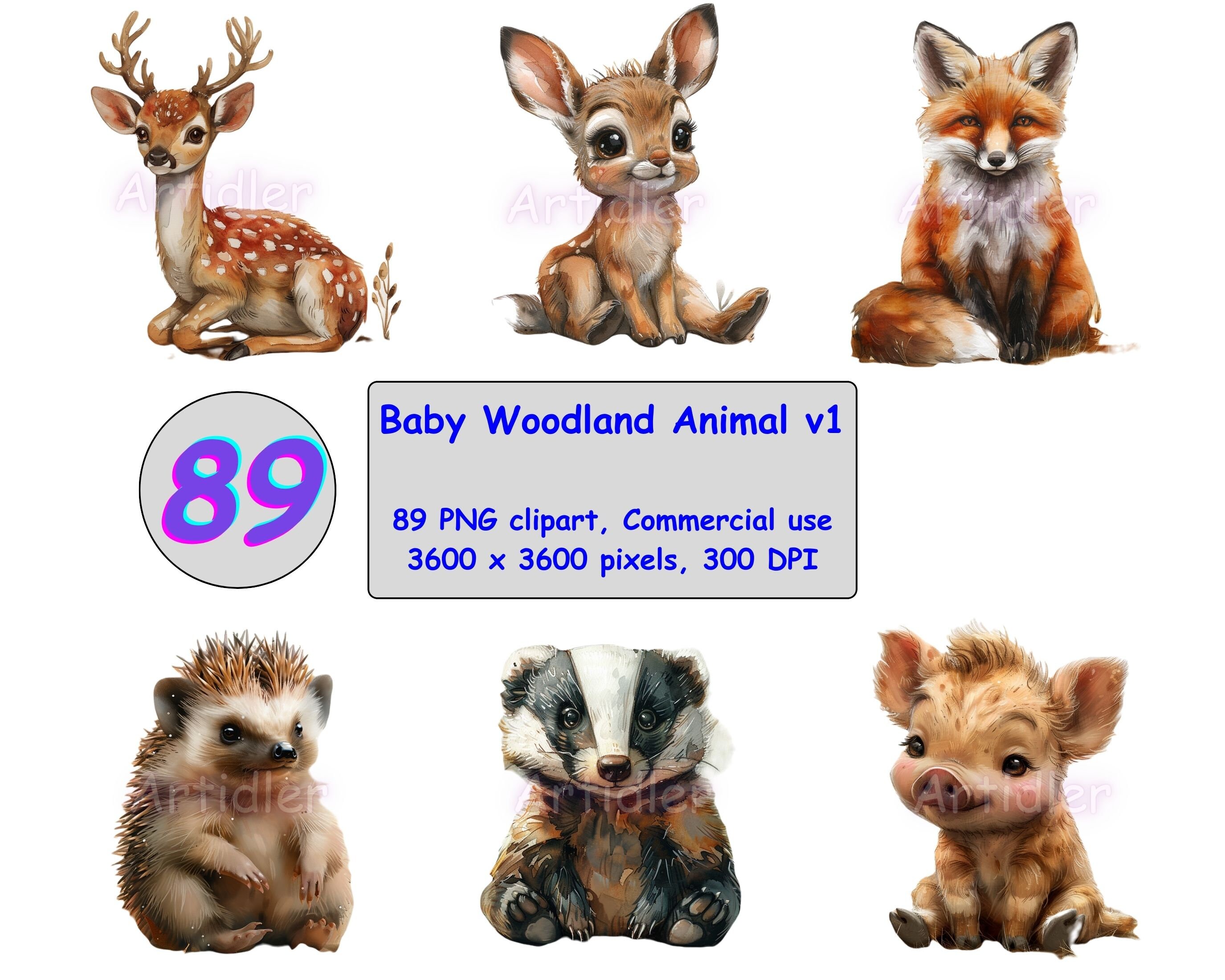 WOODLAND ANIMALS CLIPART Watercolor Clipart Bundle, Forest Animals ...
