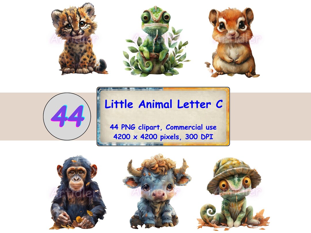 BABY ANIMALS CLIPART Letter C - Watercolor Animals Bundle, Baby Animal ...