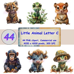 BABY ANIMALS CLIPART Letter C - Watercolor Animals Bundle, Baby Animal ...