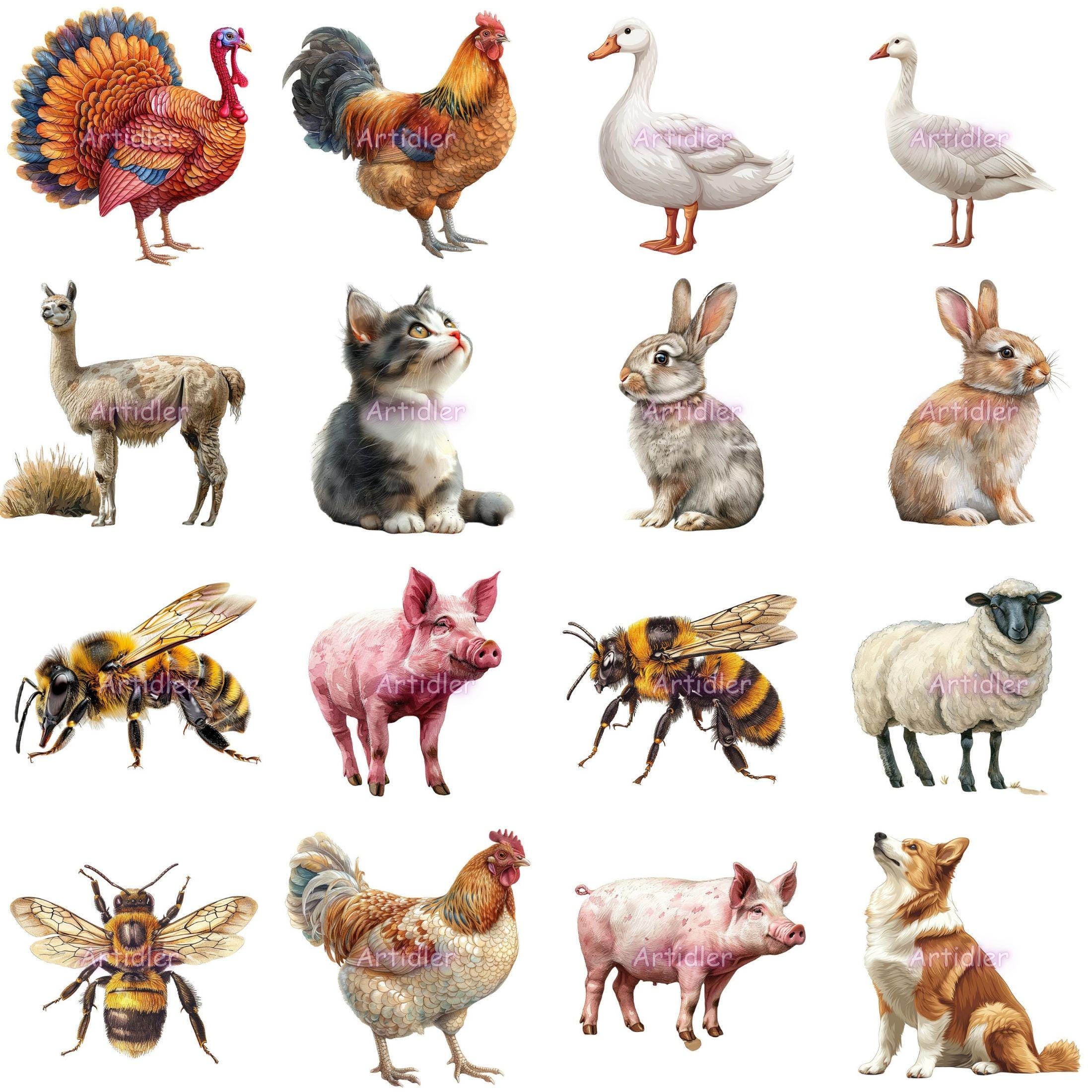 CUTE FARM CLIPART - Watercolor Clipart Bundle, Farm Animal Clipart ...