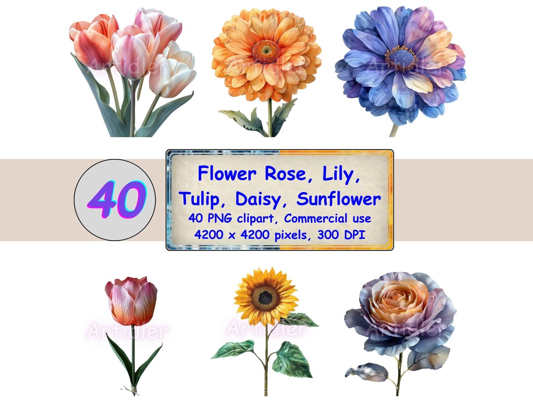 Floral Clipart Bundle: Rose, Lily & Sunflower PNG Graphics for ...