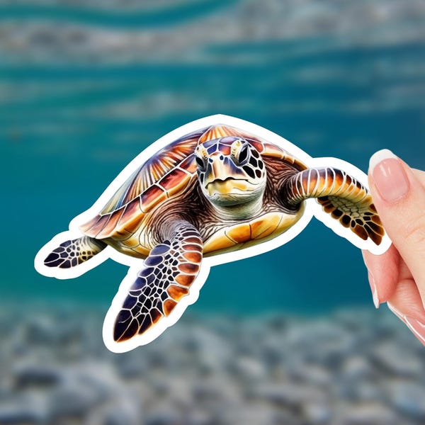 Marine Life Decal - Etsy