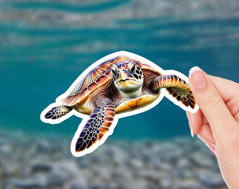 Sea Turtle Sticker: Cute Marine Life Decal for Ocean Lovers - Etsy