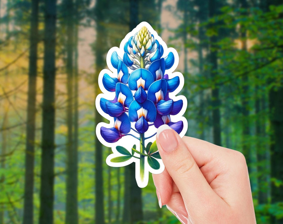 Bluebonnet Sticker - Texas Flower Vinyl Decal - Etsy